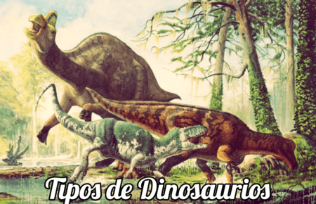 【Tipos de Dinosaurios】 La clasificación de Dinousaurios más completa